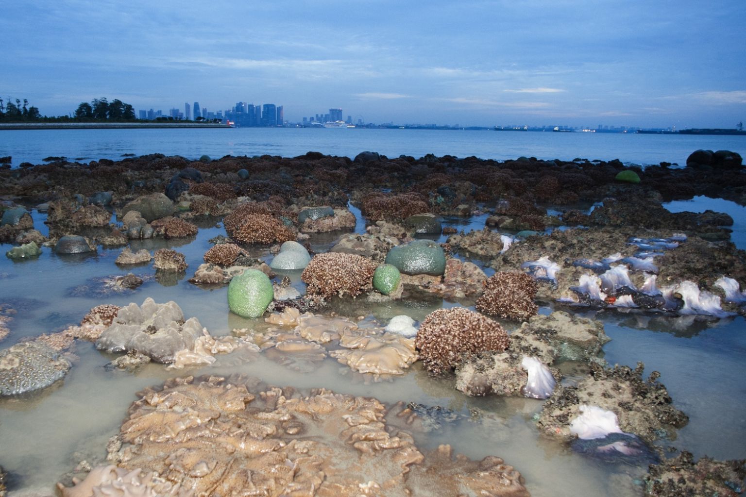 Semakau Island - ALL ABOUT CITY - SINGAPORE