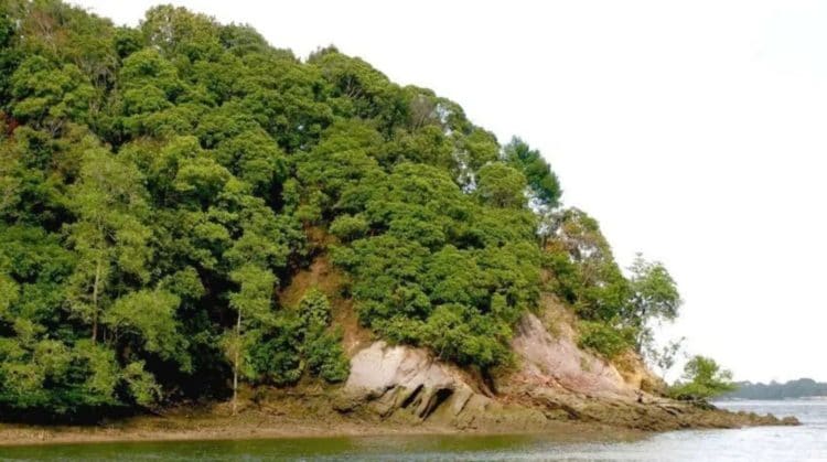 Islands of Singapore - ALL ABOUT CITY - SINGAPORE