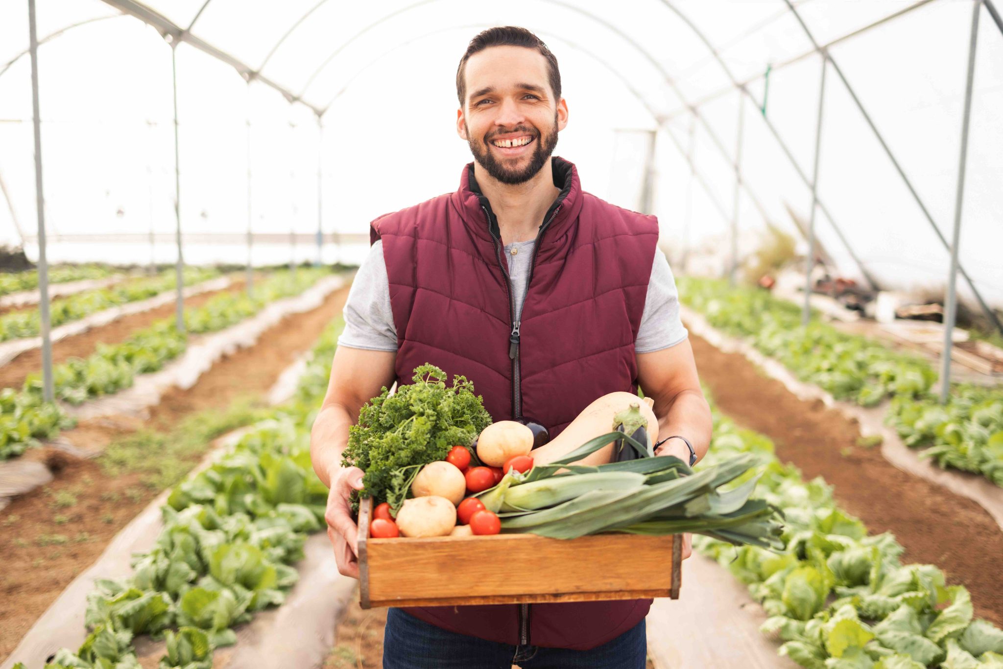 Tracing the Roots of the BIO/Organic Farming Revolution - ALL ABOUT ...
