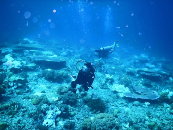 Scuba Diving in Batam - Expat.Guide