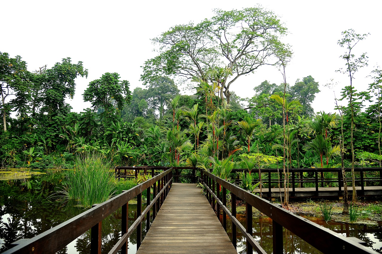 Learning Forest Tour - ALL ABOUT EVENTS