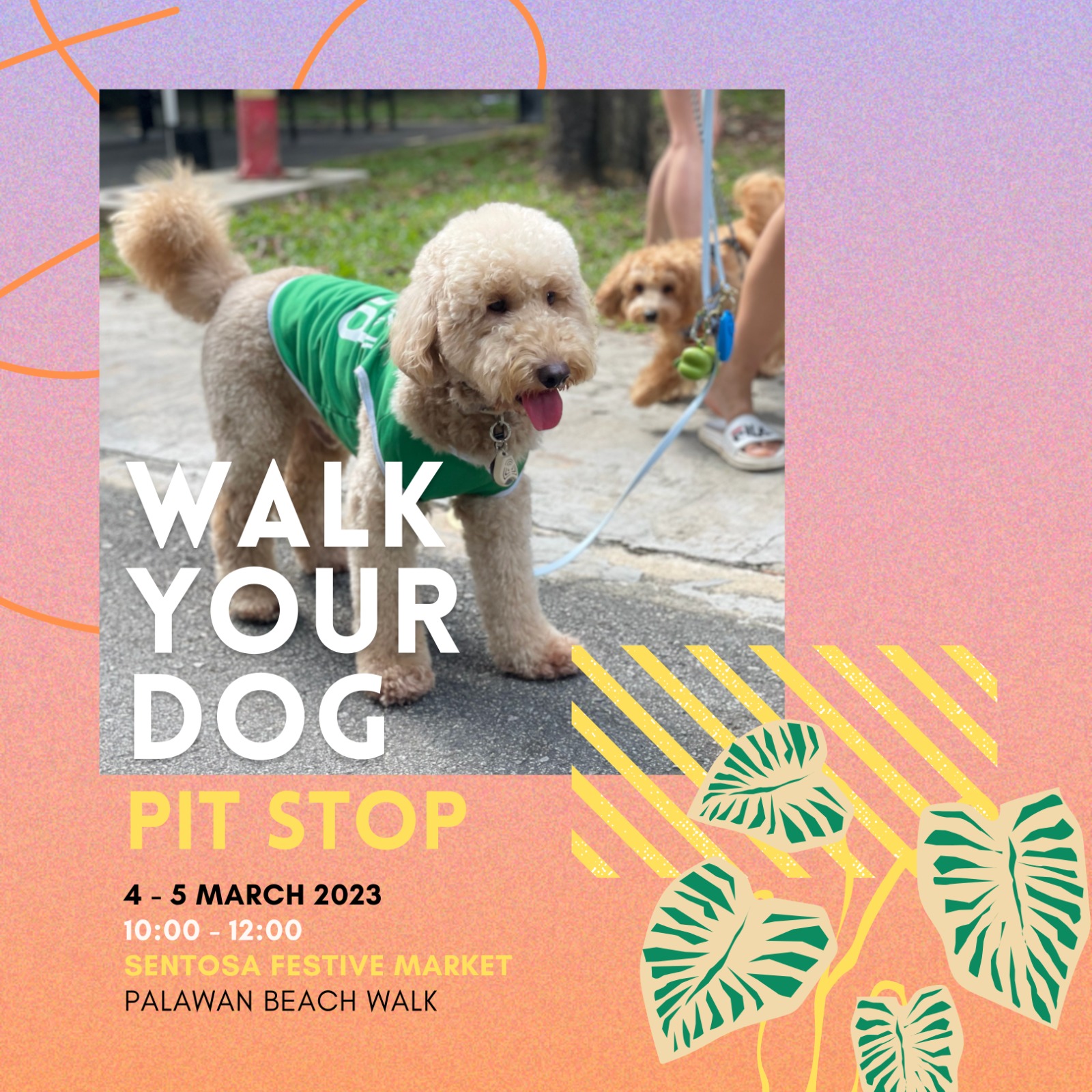 WALK YOUR DOG - PIT STOP - ALL ABOUT EVENTS