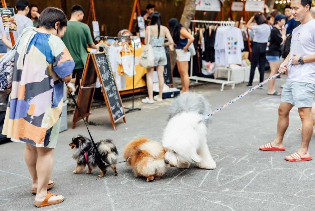 WALK YOUR DOG - PIT STOP - ALL ABOUT EVENTS