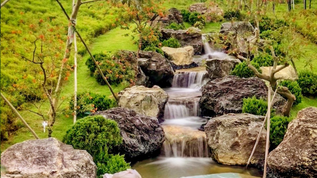 Serene Garden - Expat.Guide