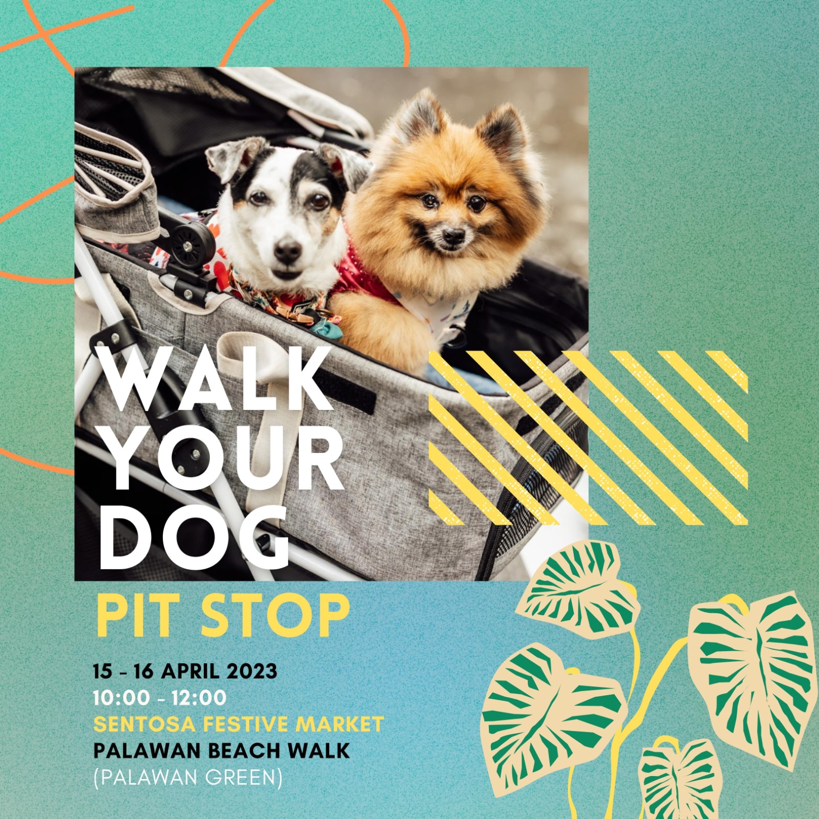 Walk Your Dog - Pit Stop - ALL ABOUT EVENTS