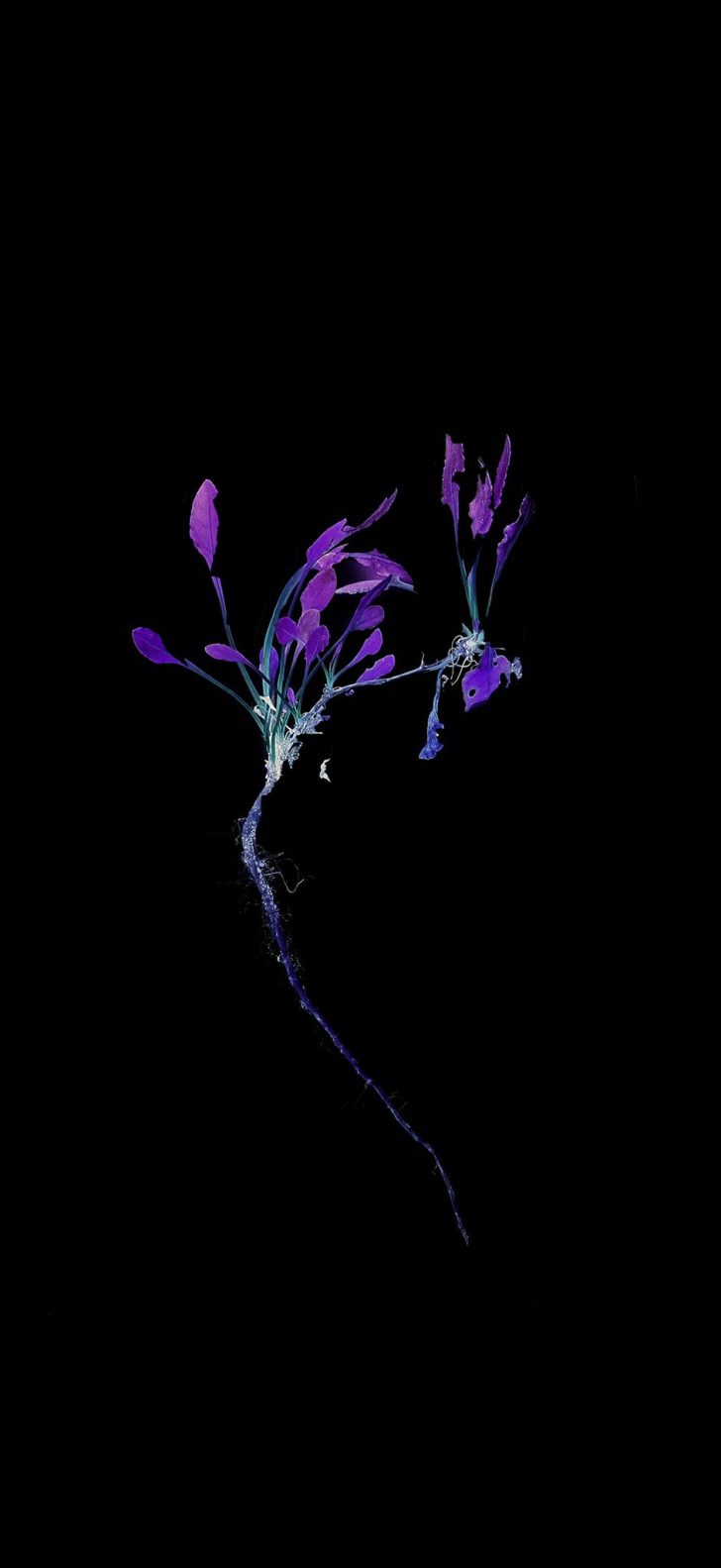 Serbian Artist Vanja Karas at the Affordable Art Fair 2023 - Expat.Guide