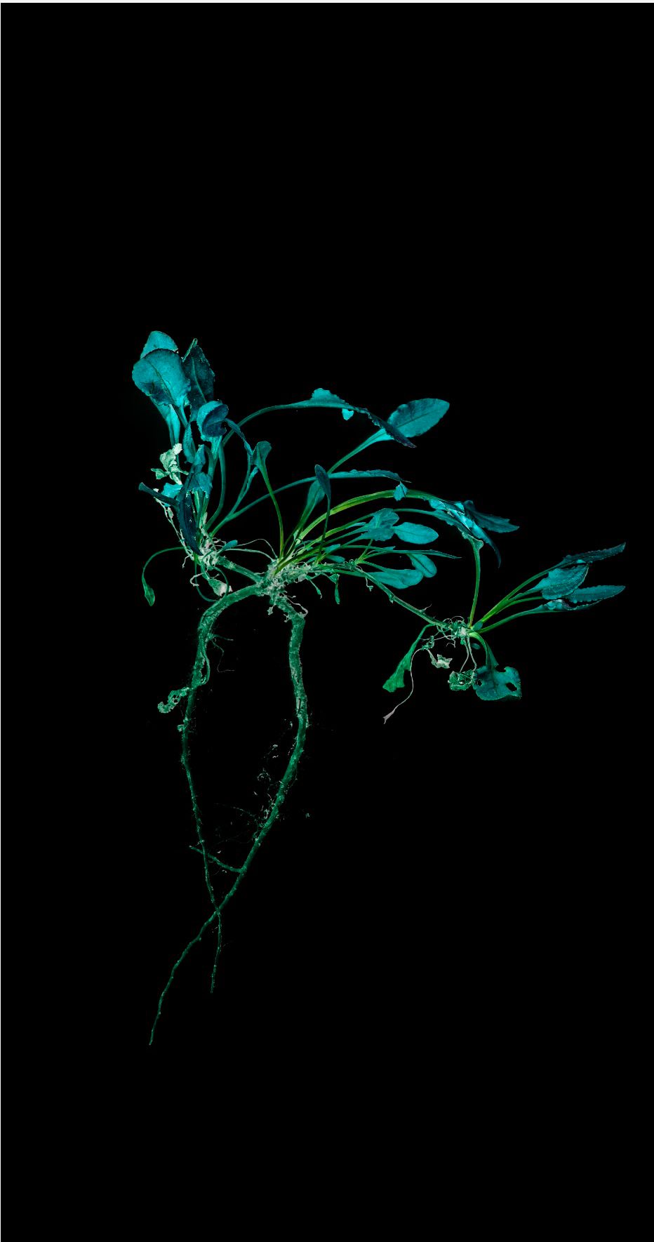 Serbian Artist Vanja Karas at the Affordable Art Fair 2023 - Expat.Guide