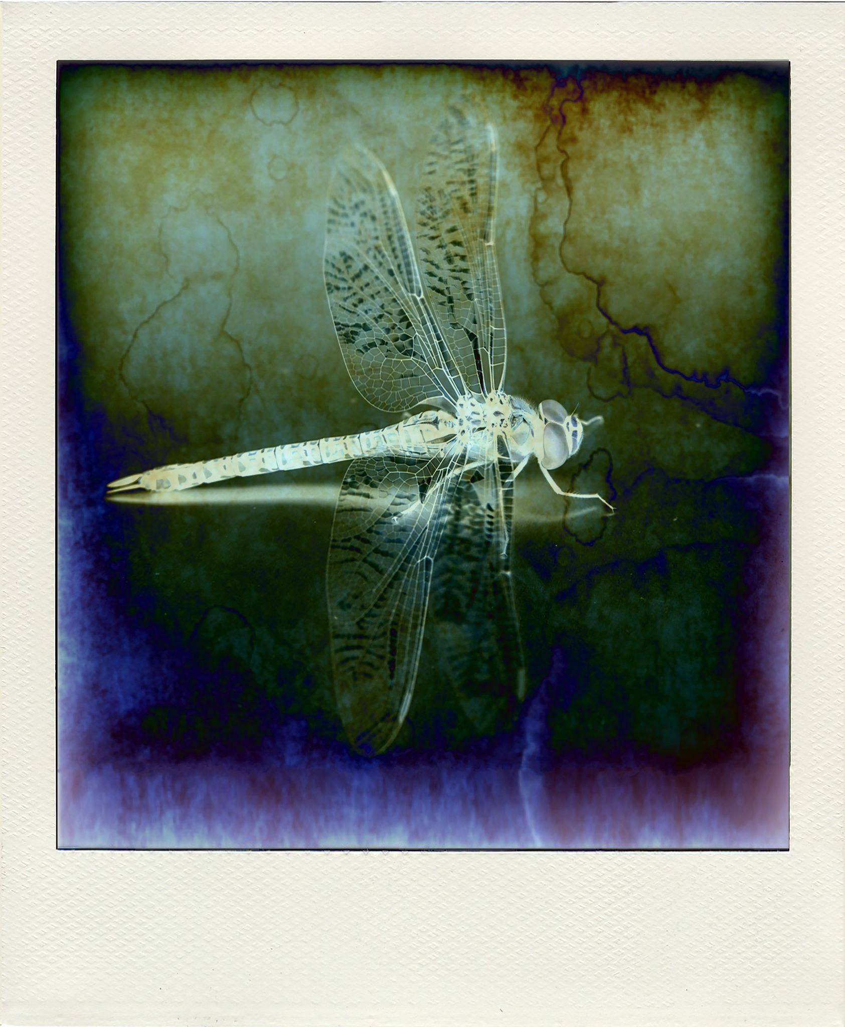 Serbian Artist Vanja Karas at the Affordable Art Fair 2023 - Expat.Guide